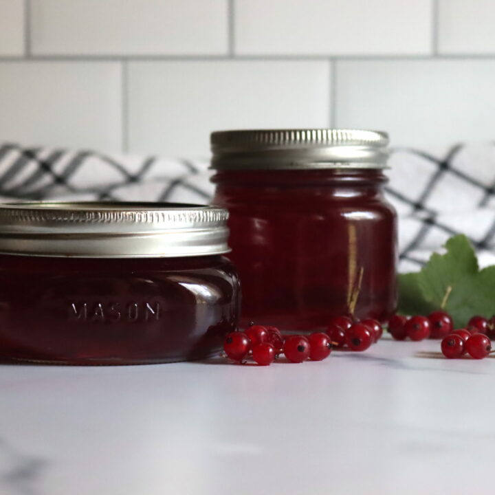 Red Currant Jelly - Creative Canning