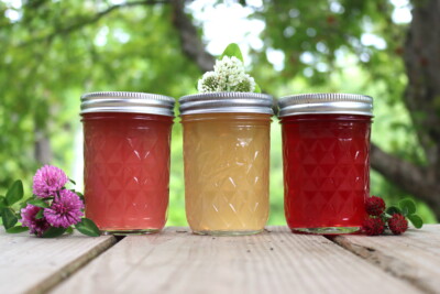 How to Make Flower Jelly (with 20+ Recipes!) - Creative Canning