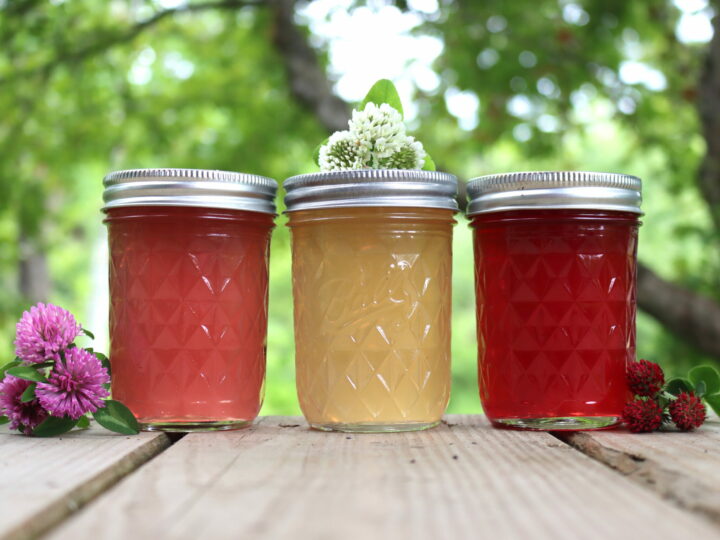 Cranberry Jelly - Creative Canning