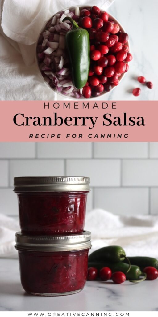 Cranberry Salsa - Creative Canning