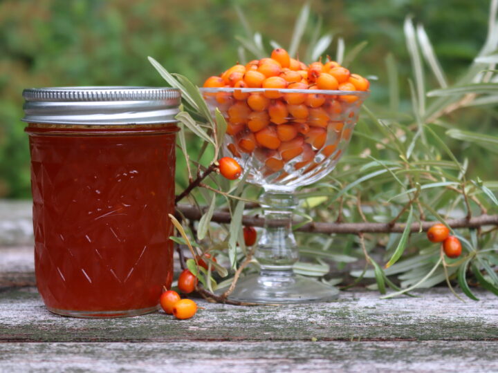 Watermelon Jelly - Creative Canning