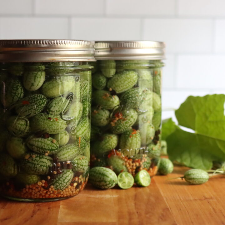 Cucamelon Pickles - Creative Canning