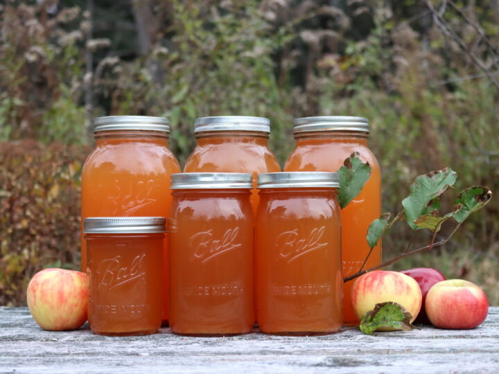 Canning Applesauce - Creative Canning