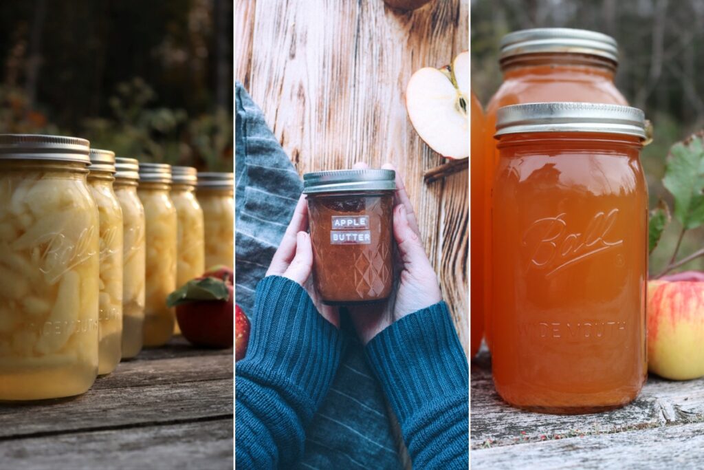30+ Apple Canning Recipes - Creative Canning