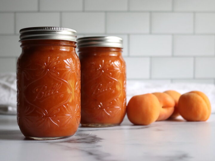 Apricot Salsa - Creative Canning