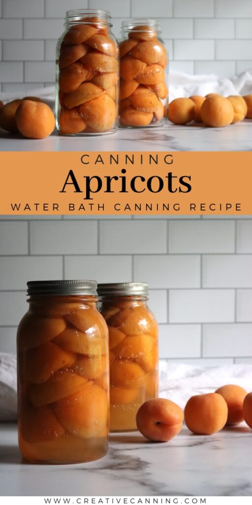 Canning Apricots - Creative Canning