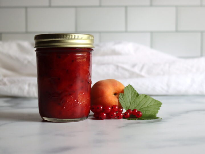 Red Currant Jelly - Creative Canning