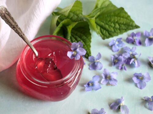 Watermelon Jelly - Creative Canning