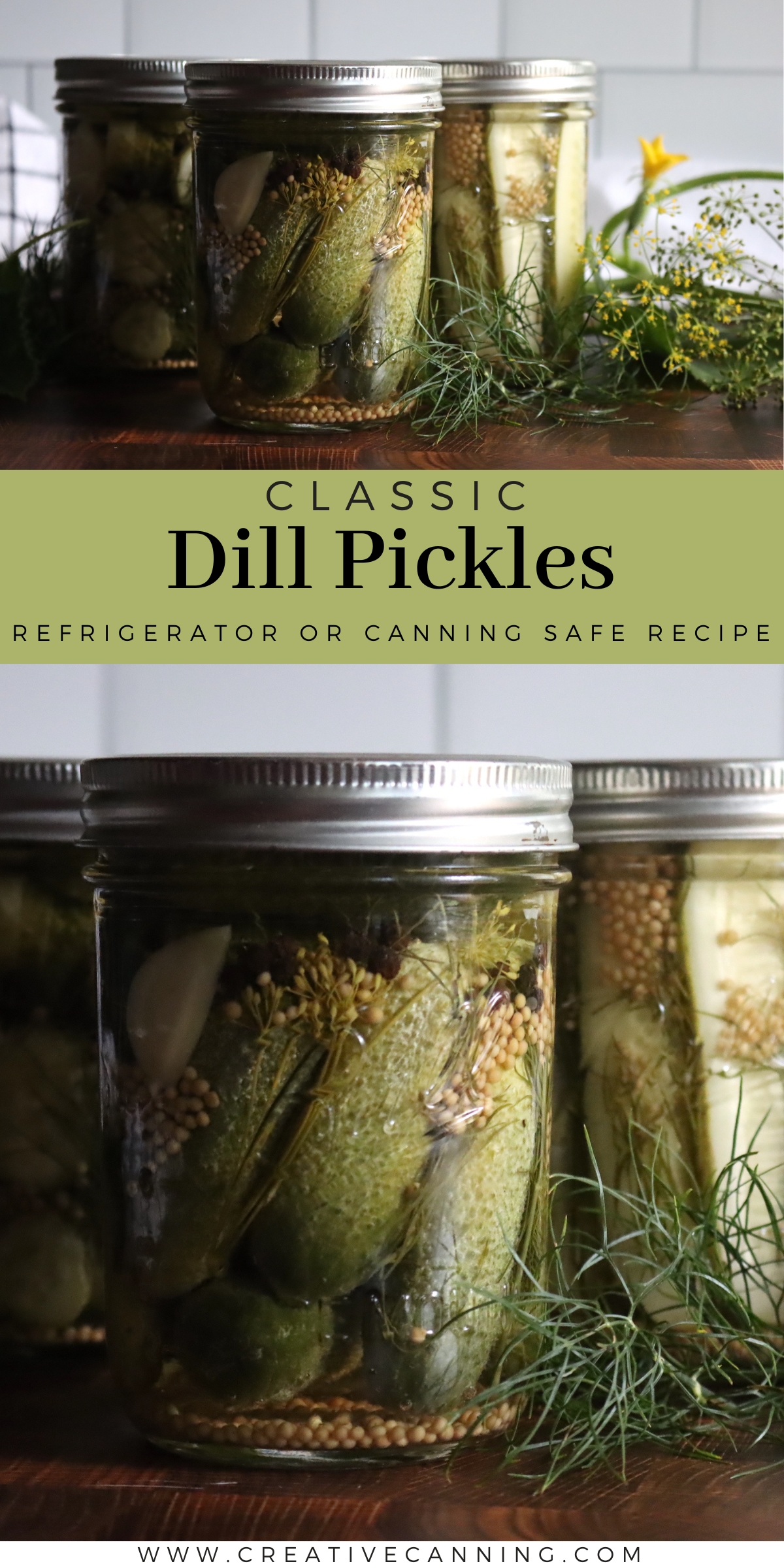 Classic Dill Pickles - Creative Canning