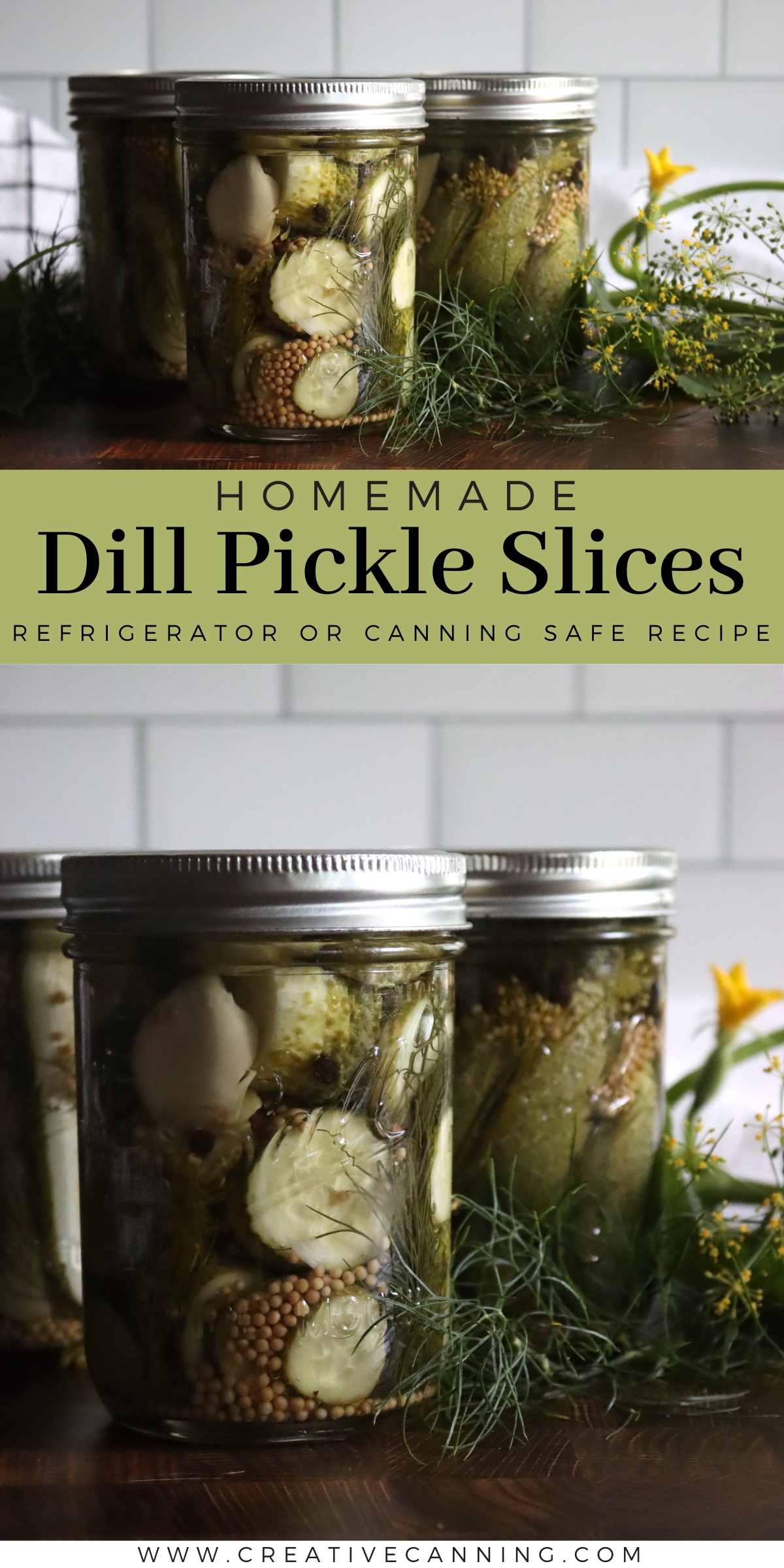 Dill Pickle Slices - Creative Canning