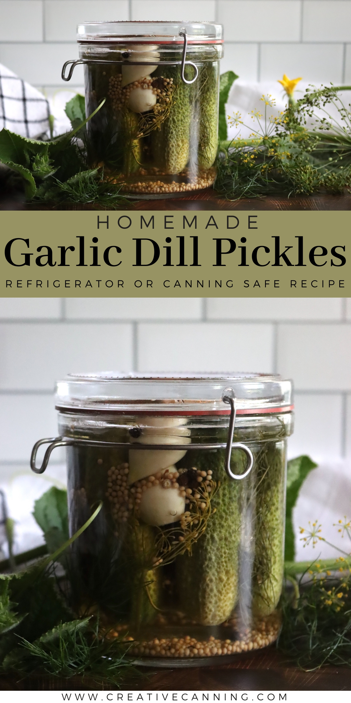 Garlic Dill Pickles - Creative Canning