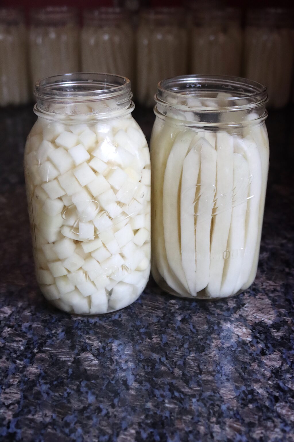 Canning French Fries - Creative Canning