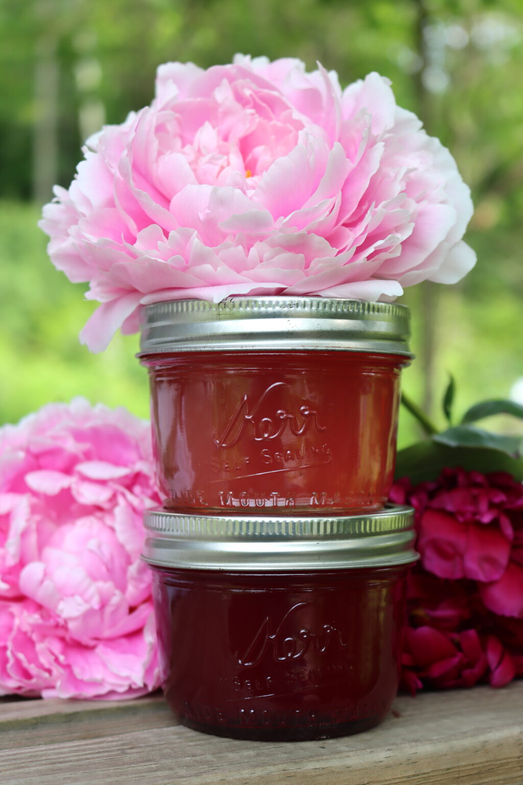 Peony Jelly - Creative Canning