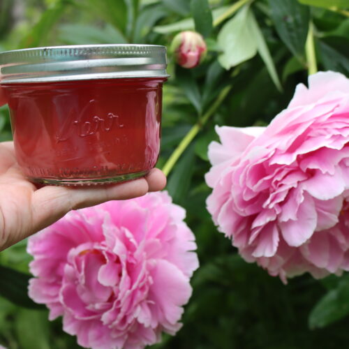 Peony Jelly - Creative Canning