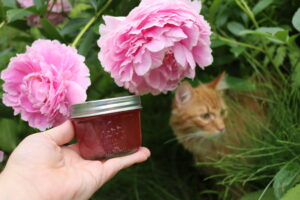 Peony Jelly - Creative Canning