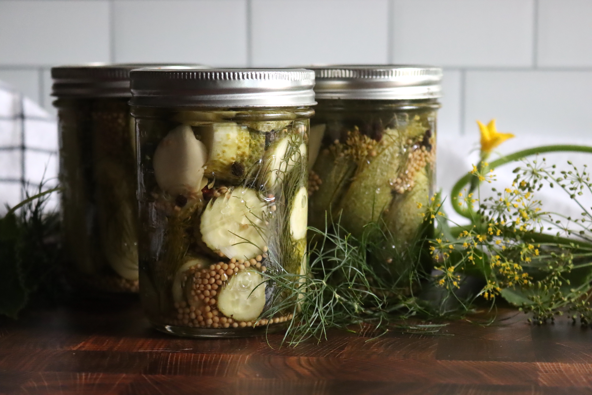 Dill Pickle Slices - Creative Canning