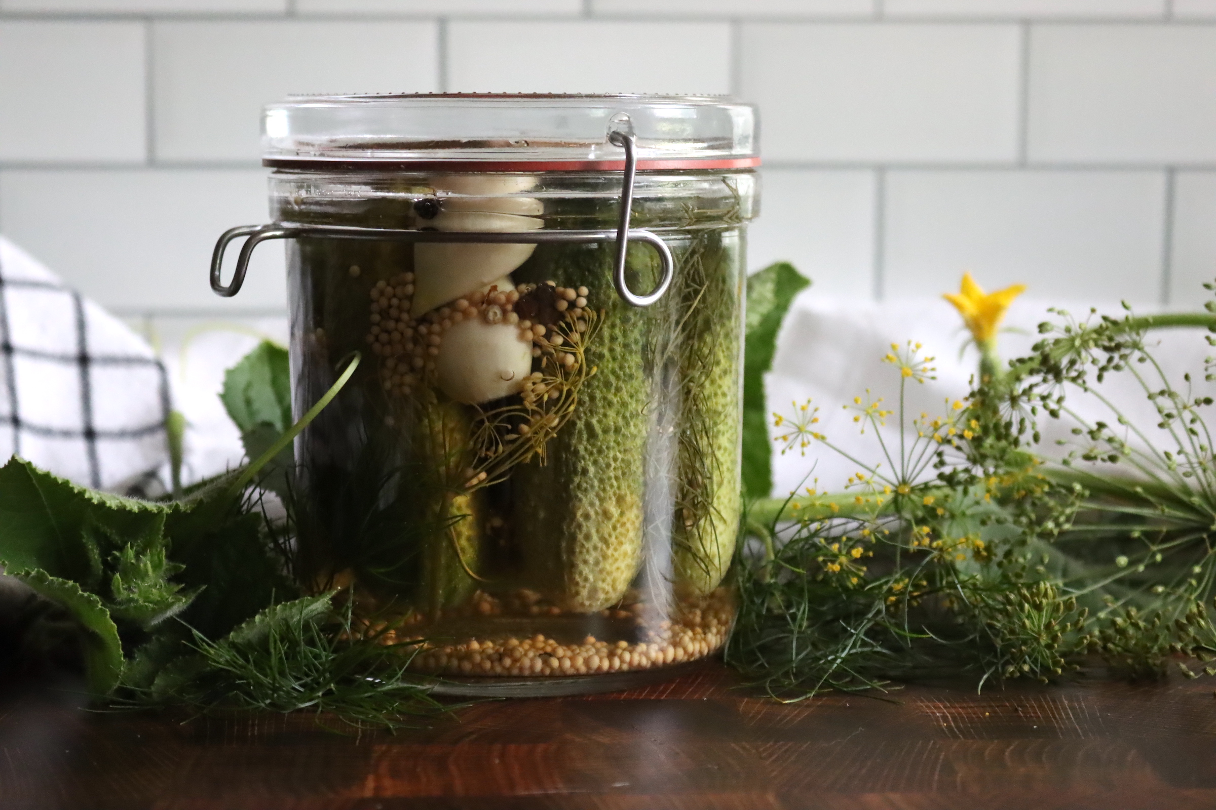 Garlic Dill Pickles - Creative Canning