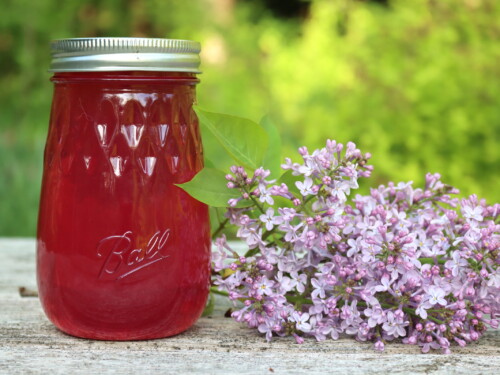 How to Make Flower Jelly (with 20+ Recipes!) - Creative Canning
