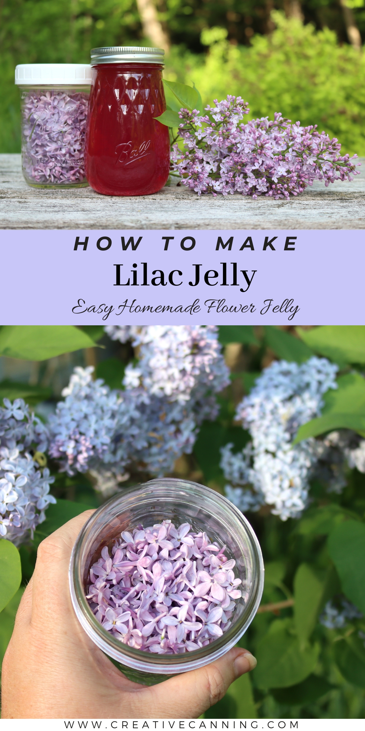 Lilac Jelly - Creative Canning