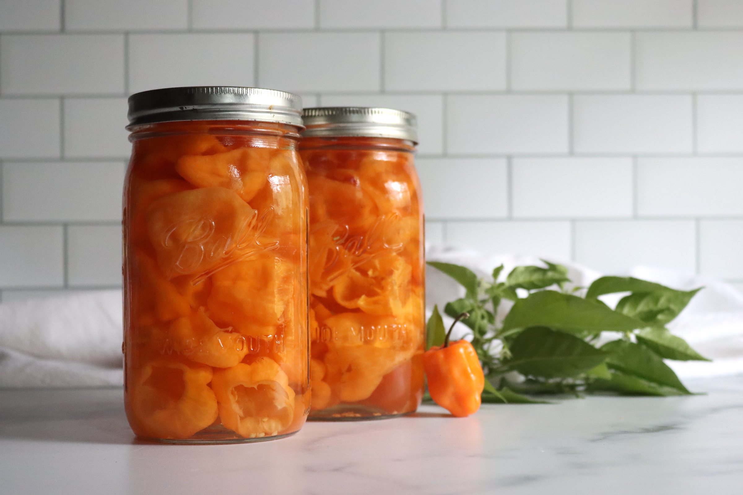 Pickled Habanero Peppers - Creative Canning