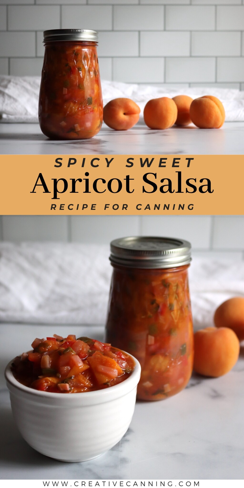 Apricot Salsa - Creative Canning