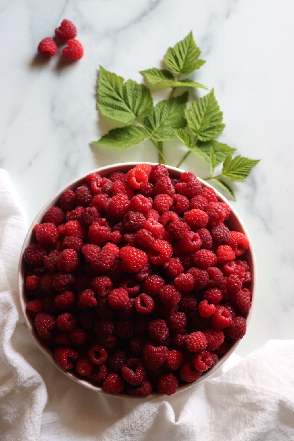 Raspberry Syrup - Creative Canning