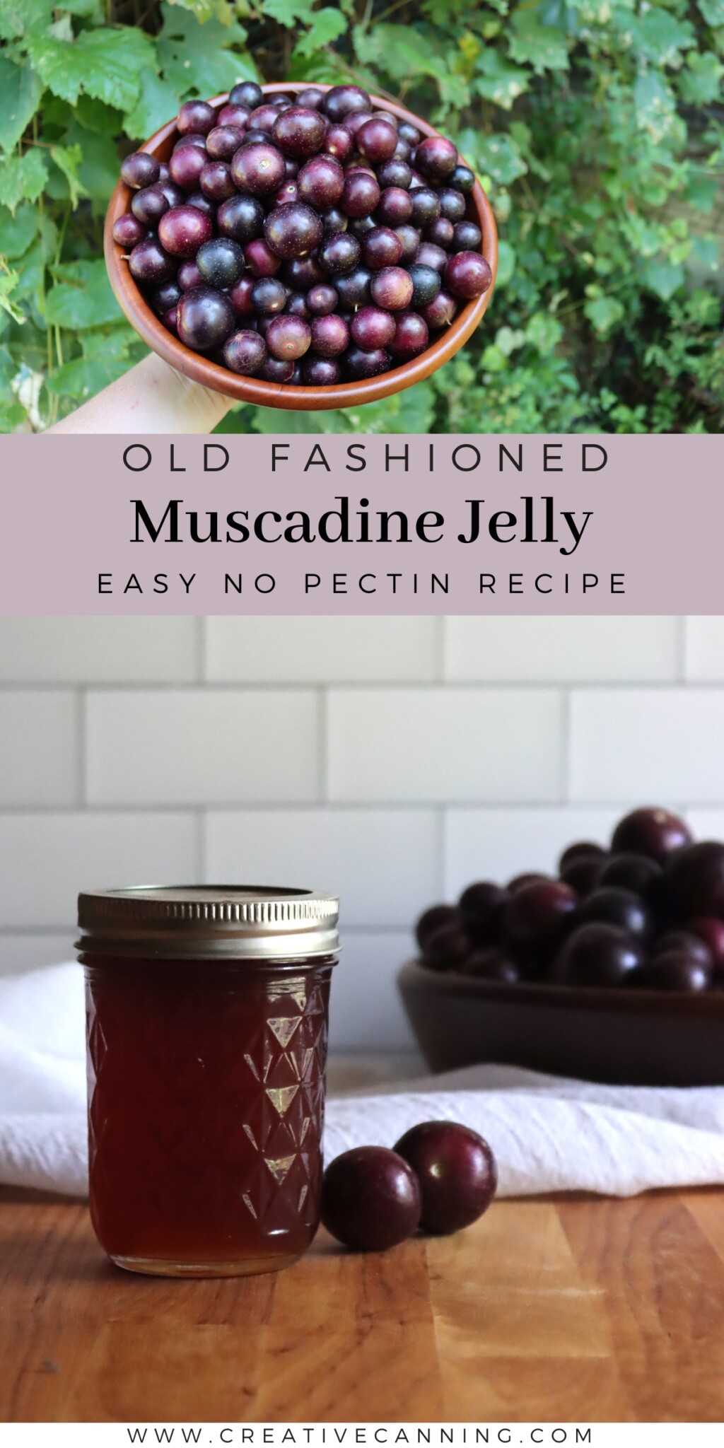 Muscadine Jelly (or Scuppernong Jelly) - Creative Canning