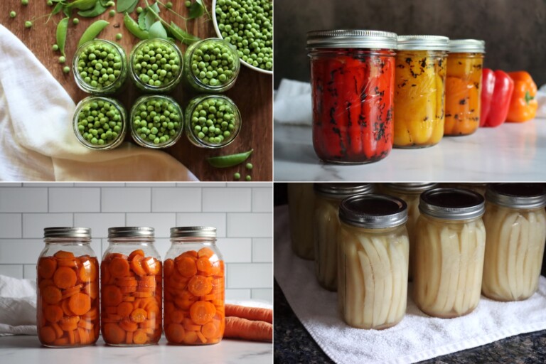 100+ Vegetable Canning Recipes (& Vegetarian Meal in a Jar Favorites ...