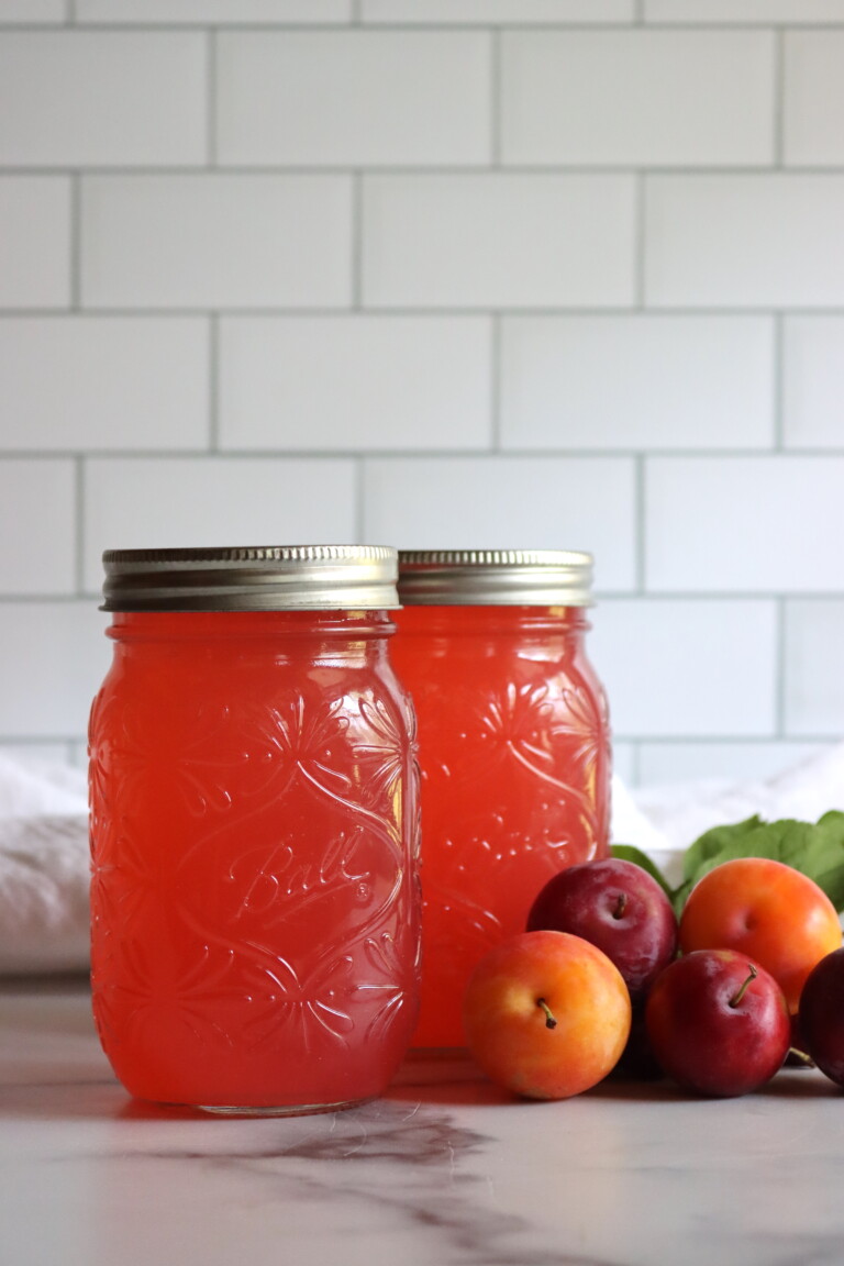 Canning Plum Lemonade Concentrate - Creative Canning