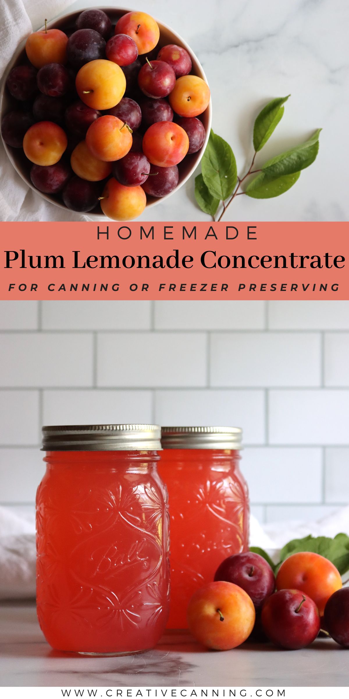 Canning Plum Lemonade Concentrate - Creative Canning