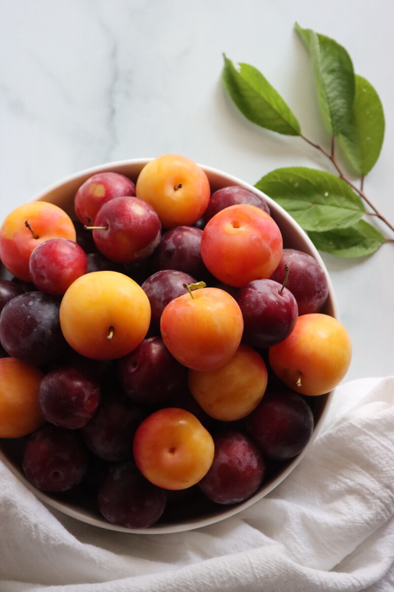 40+ Plum Canning Recipes - Creative Canning